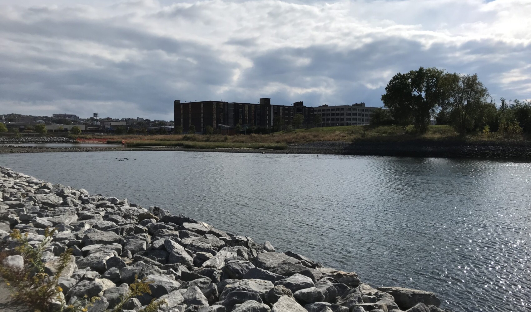 Exploring Bush Terminal Park | Episode 229 - Turnstile Tours